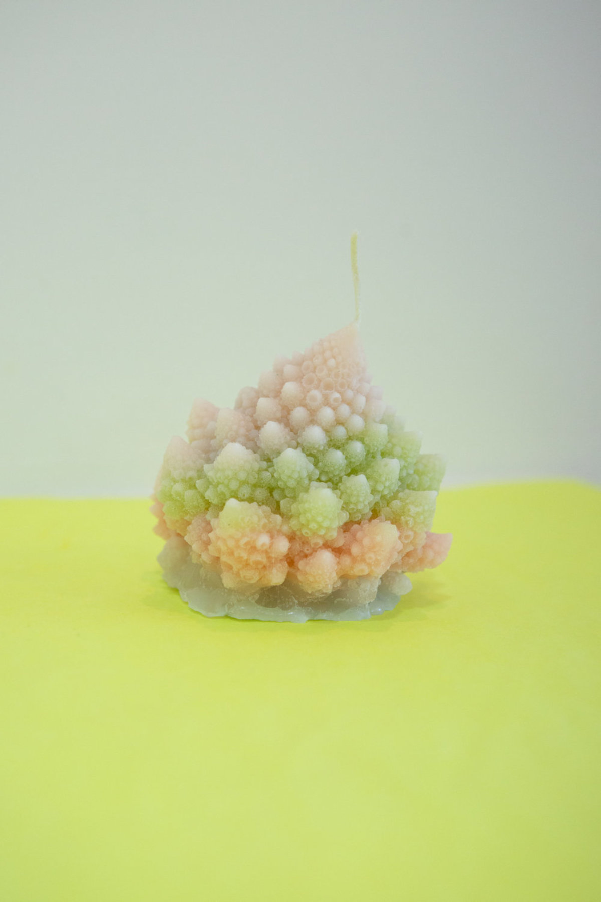 Piera Bochner Romanesco Broccoli Candle | Garmentory